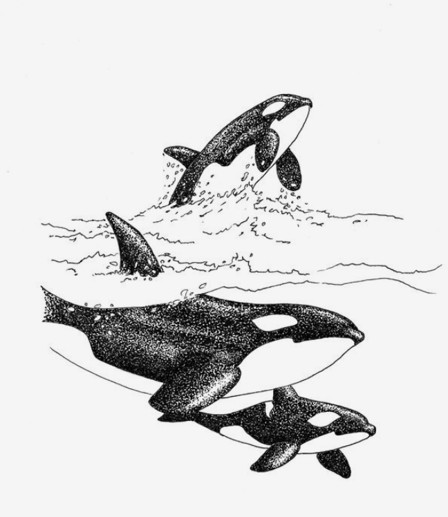 Brave Little Hunter Story